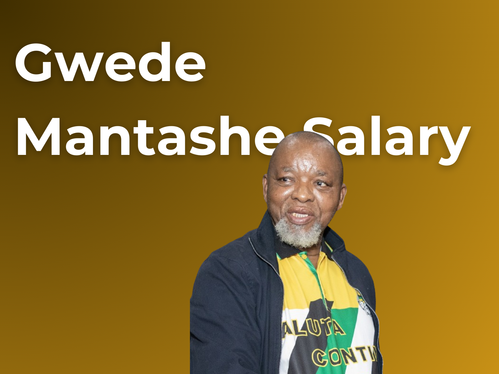 Gwede Mantashe Salary and Net Worth in Rands 2026