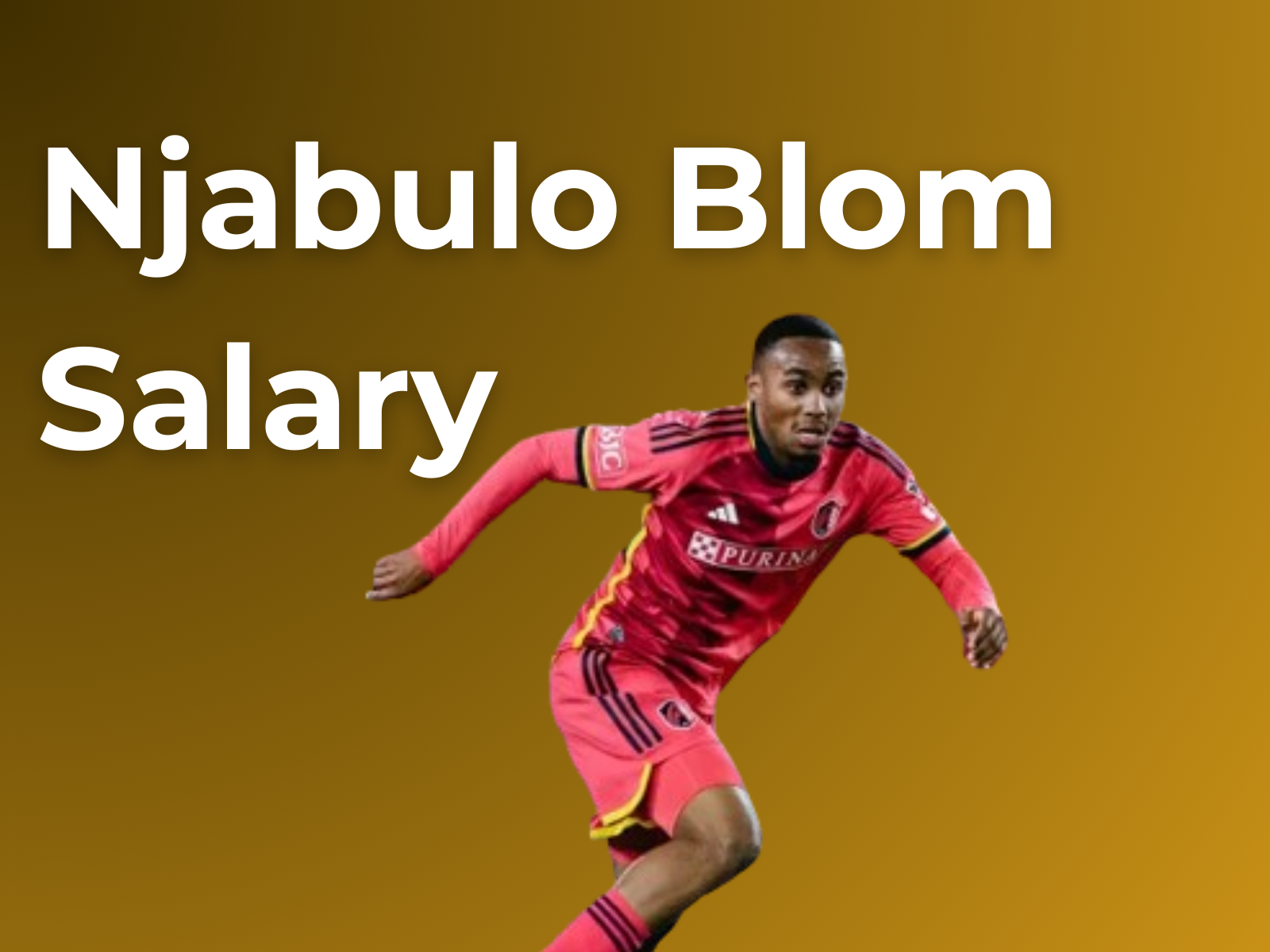 Njabulo Blom Salary per Month and Net Worth in Rands 2025